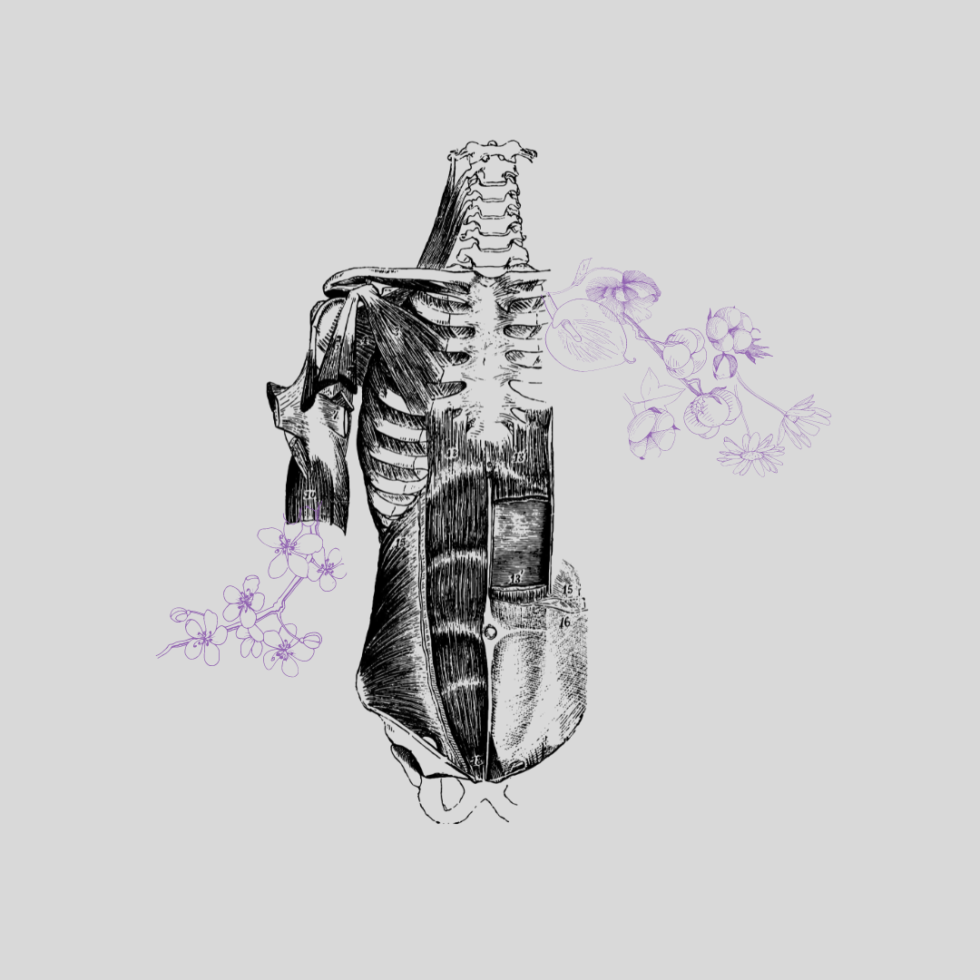 Home - Happy Bones Wellness